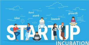 Incubation: Meaning, Process, and Importance in Growth